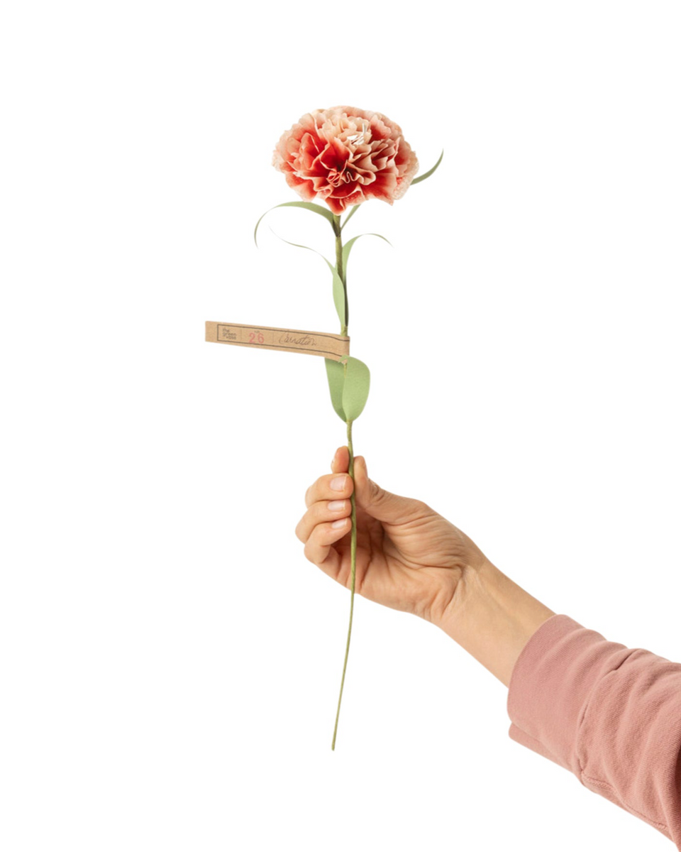 Carnation Stem – The Green Vase