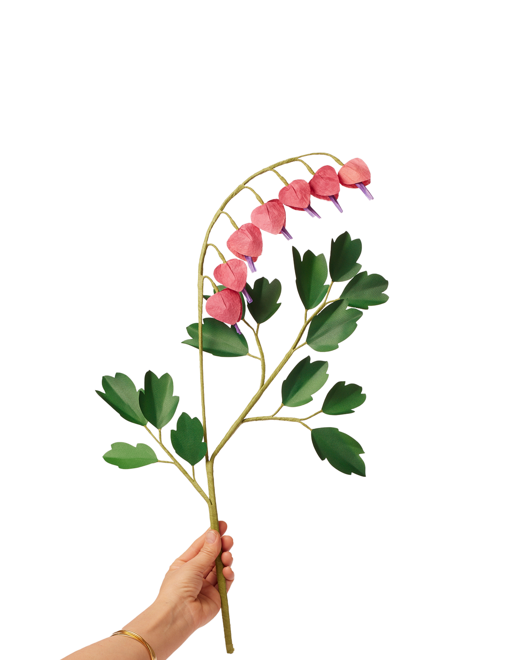 Bleeding Heart Stem – The Green Vase