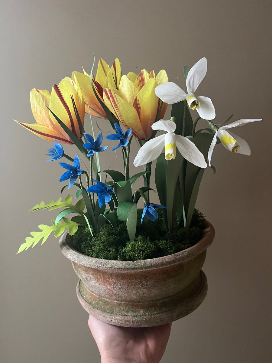 Spring Ephemerals Series No°1 – The Green Vase