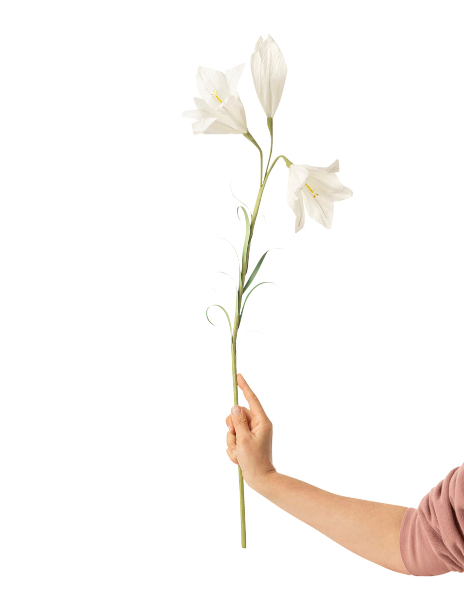 Easter Lily Stem – The Green Vase