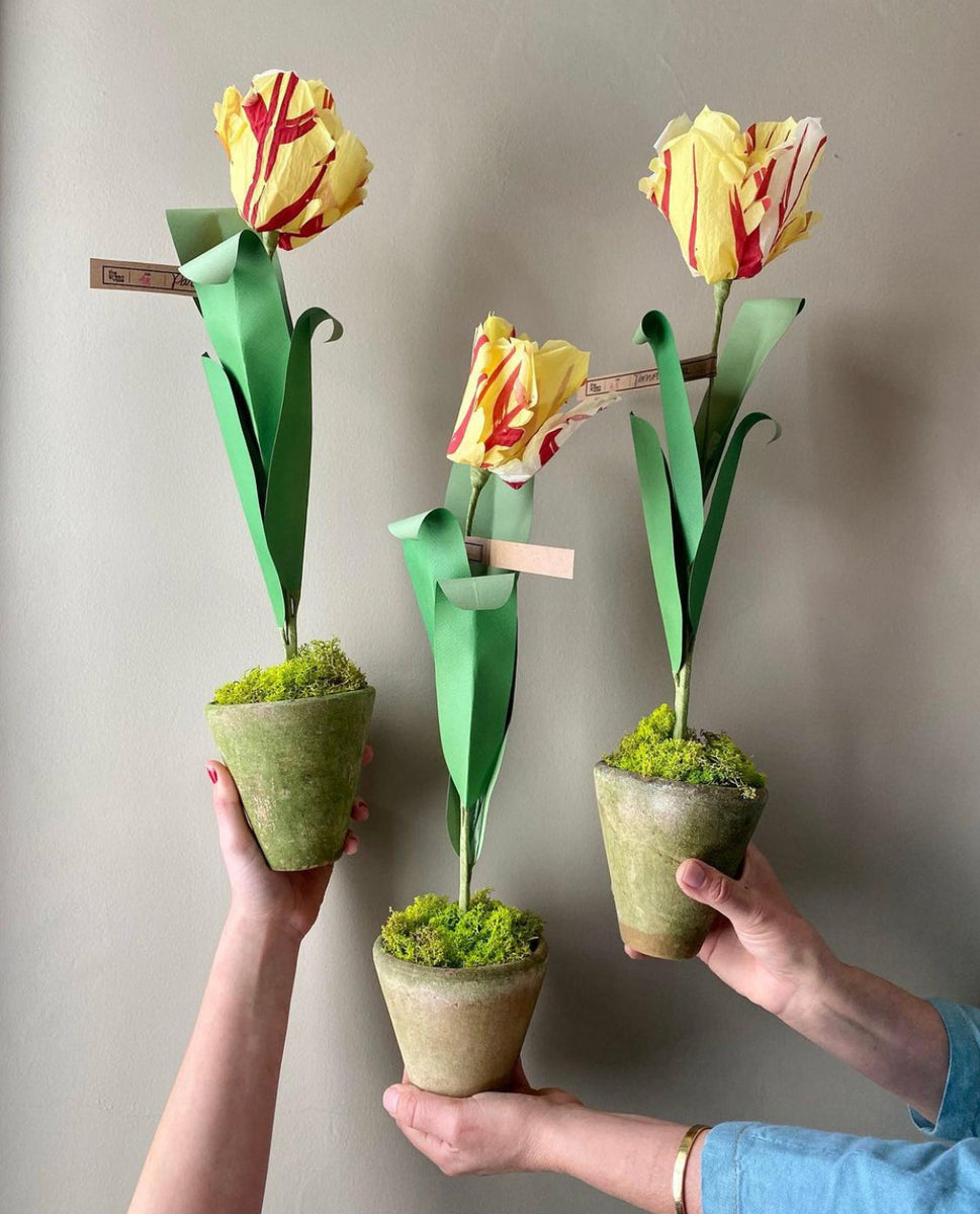 Paper Garden Club – The Green Vase
